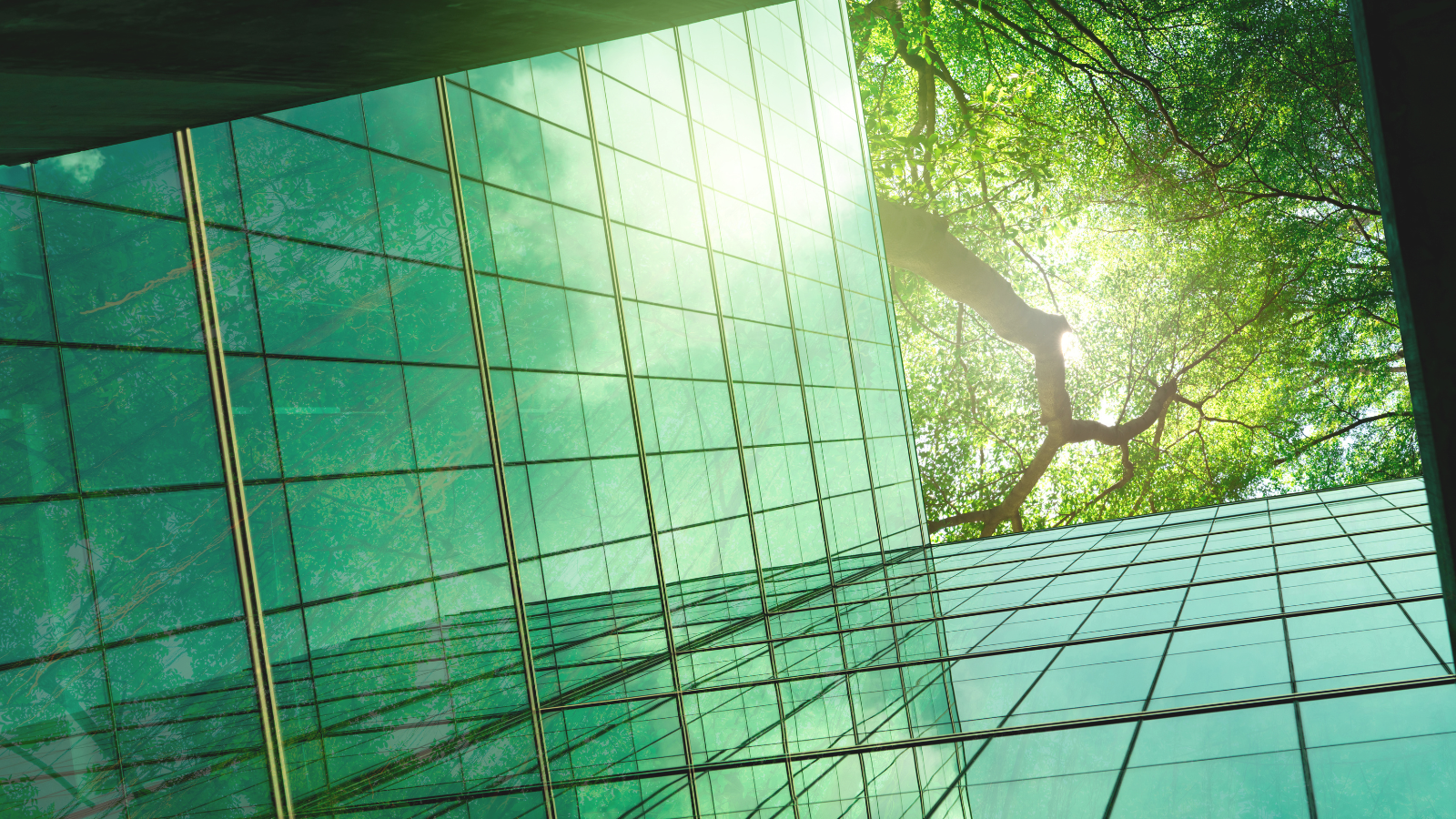 Avis d'Expert | IA & Changement Climatique: comment qualifier le ...